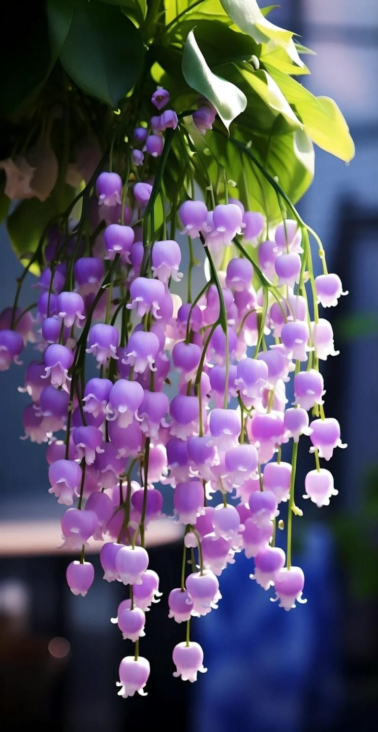Tải ngay 99+ bộ hình nền hoa linh lan đẹp nhất cho điện thoại